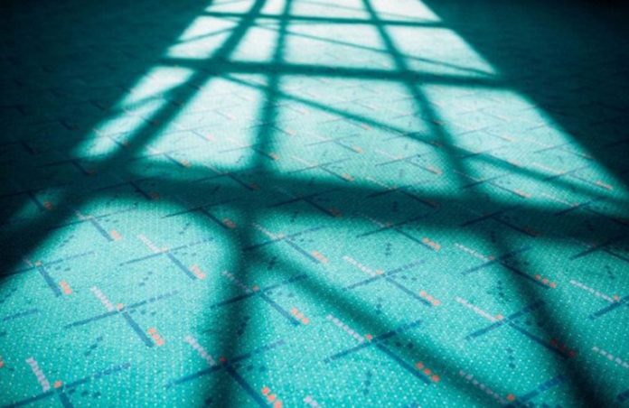 Portland's Iconic Carpet - The Portland Medium