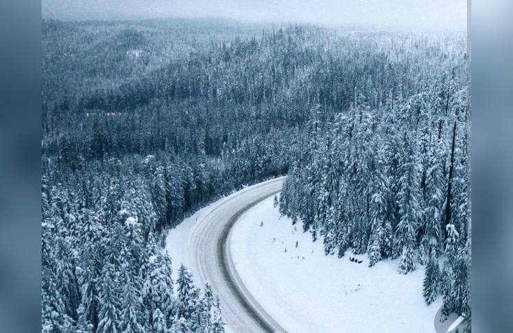 Oregon Thawing After Harsh Temperatures - The Portland Medium
