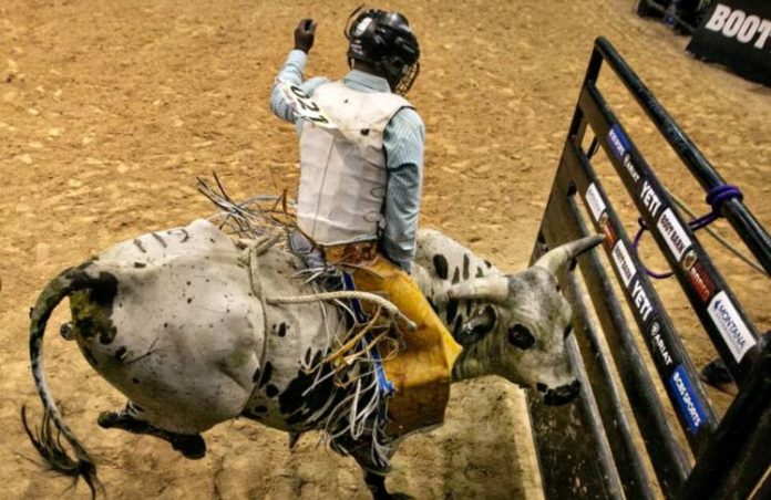 Black Rodeo On Juneteenth Announced In Portland - The Portland Medium