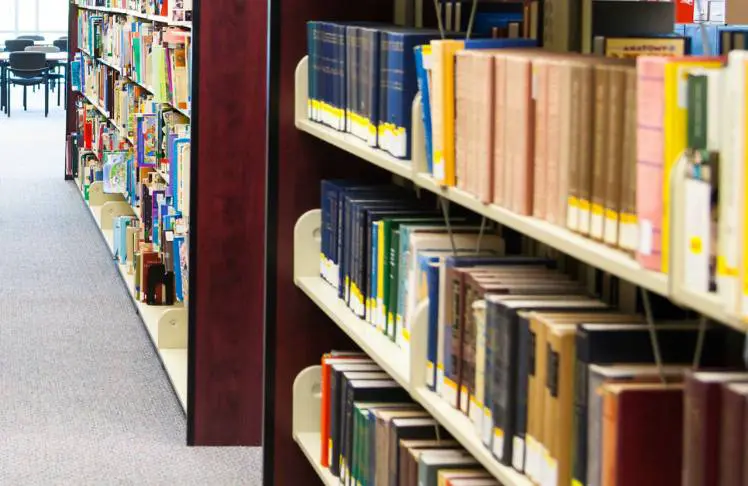 Oregon's Library Book Removal Challenges Set Record - The Portland Medium