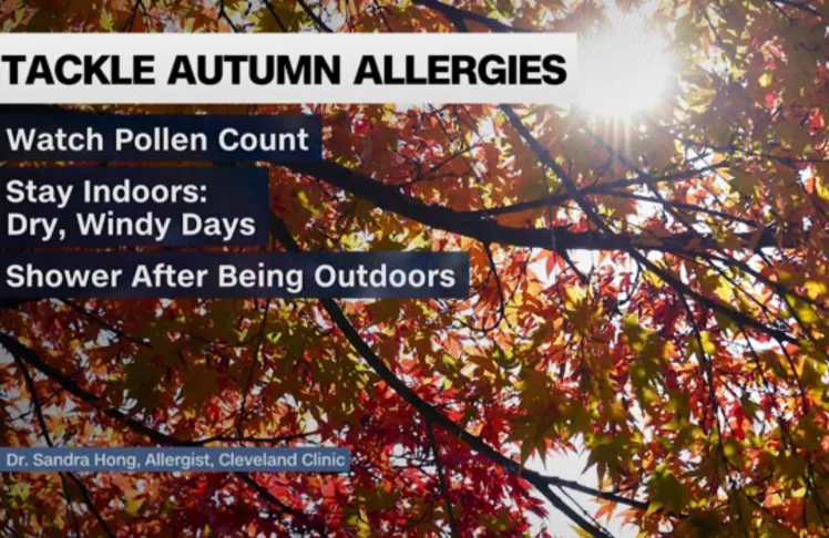 Health Minute: Tips To Tackle Autumn Allergies - The Portland Medium